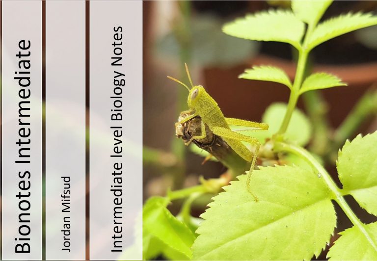 Intermediate Biology Notes - Biology Private Lessons Malta